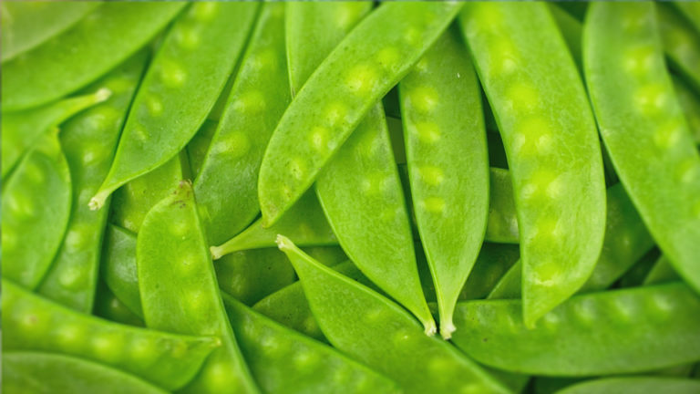 Beans – Mangetout – Sussex Fruits